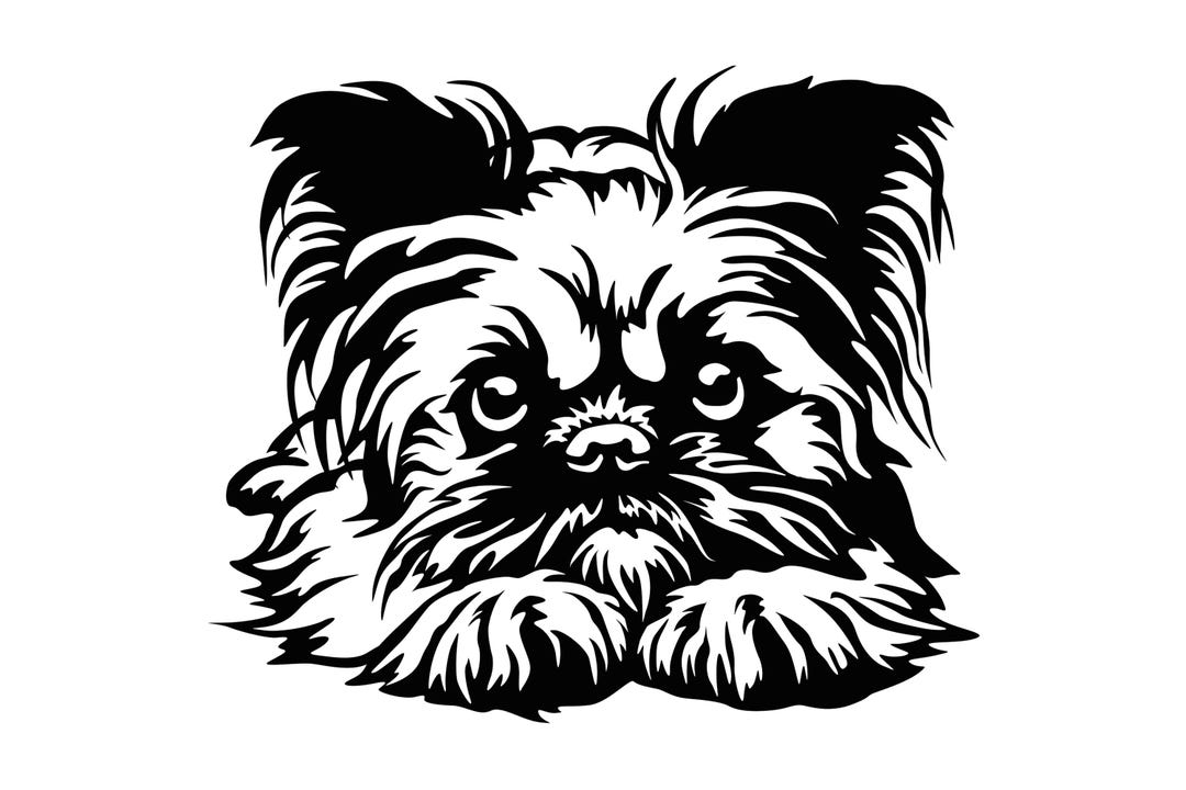 GRIFFON BRUXELLOIS Brussels Griffon - Sticker - Purebred Dog Sticker ...