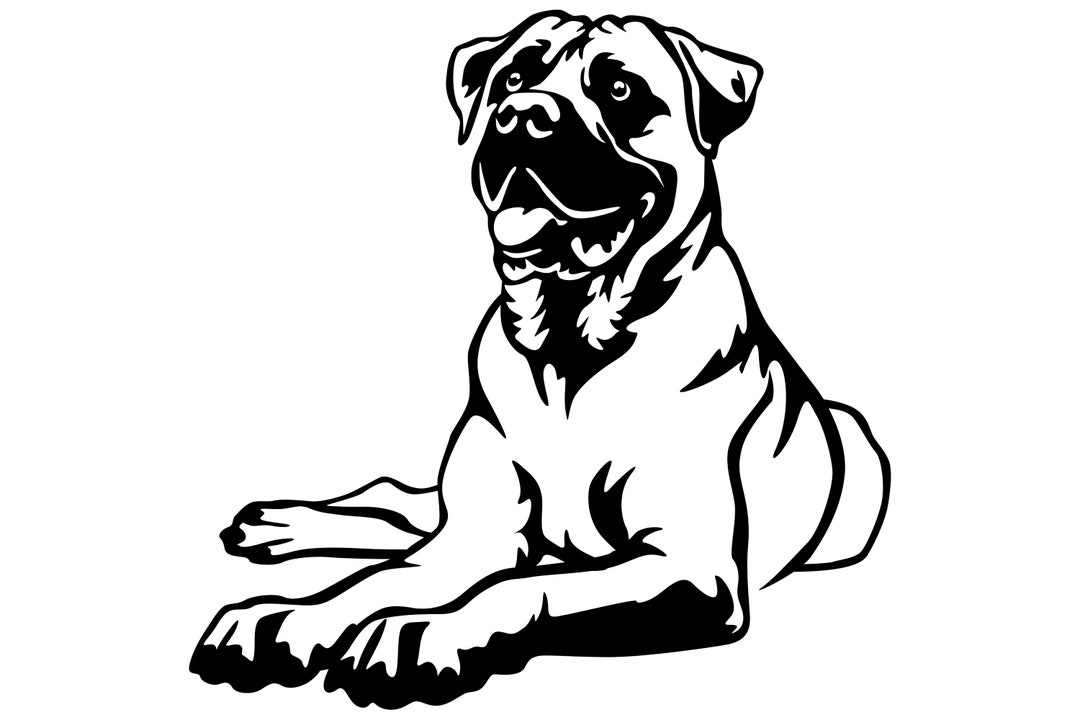 BOERBOEL South African Mastiff - Sticker - Purebred Dog Sticker - Car ...