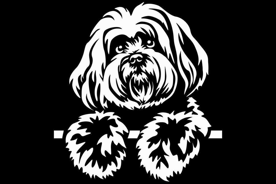 COTON DE TULÉAR Sticker Purebred Dog Sticker Car Sticker Sticker Coton ...
