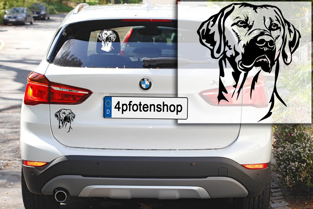 RHODESIAN RIDGEBACK Decal Bumper Sticker Sticker - Etsy