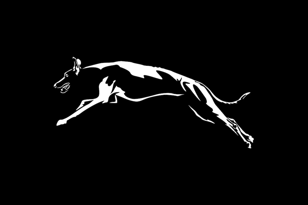 GALGO Spanish Greyhound Sticker - Purebred Dog Sticker - Car Sticker ...