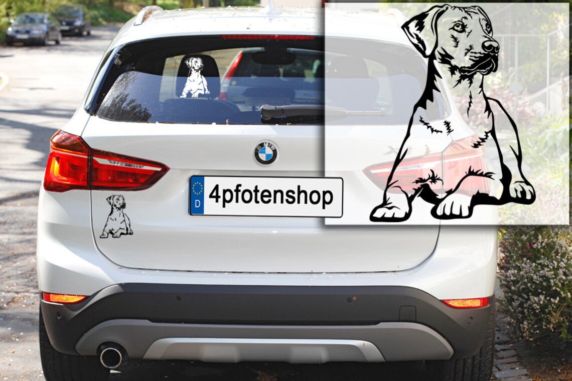 RHODESIAN RIDGEBACK Decal Bumper Sticker Sticker - Etsy