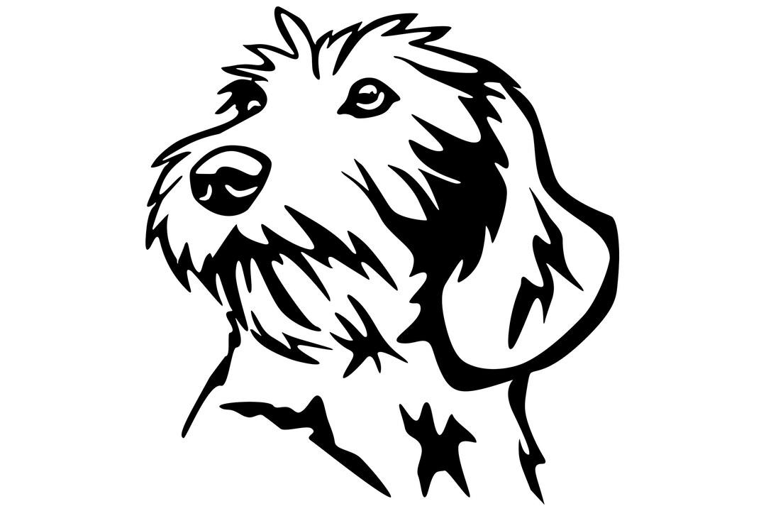 DACKEL Teckel Wire-haired Dachshund Sticker Car Sticker Sticker Wire ...