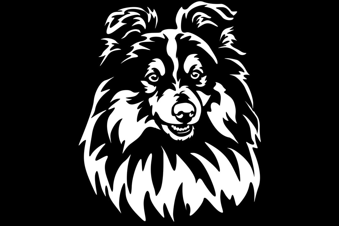 SHELTIE Shetland Sheepdog Decal Bumper Sticker Sticker Sheltie Head ...