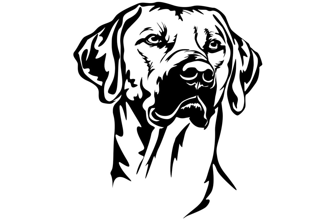RHODESIAN RIDGEBACK Decal Bumper Sticker Sticker - Etsy
