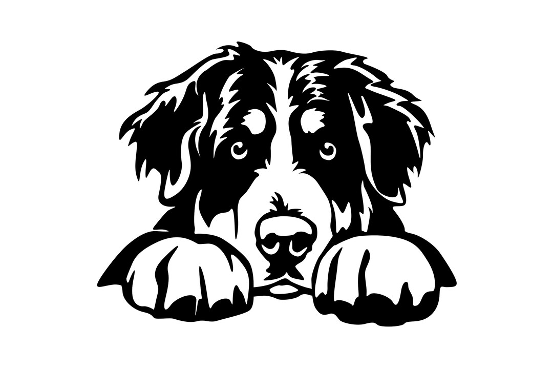 BERNER SENNENDOG - Sticker - Purebred Dog Sticker - Car Sticker ...