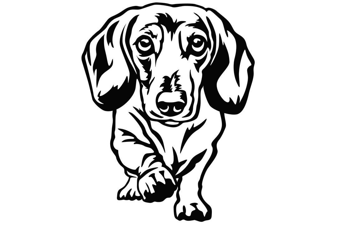 DACKEL Teckel Shorthaired Dachshund - Sticker - Purebred Dog Sticker ...