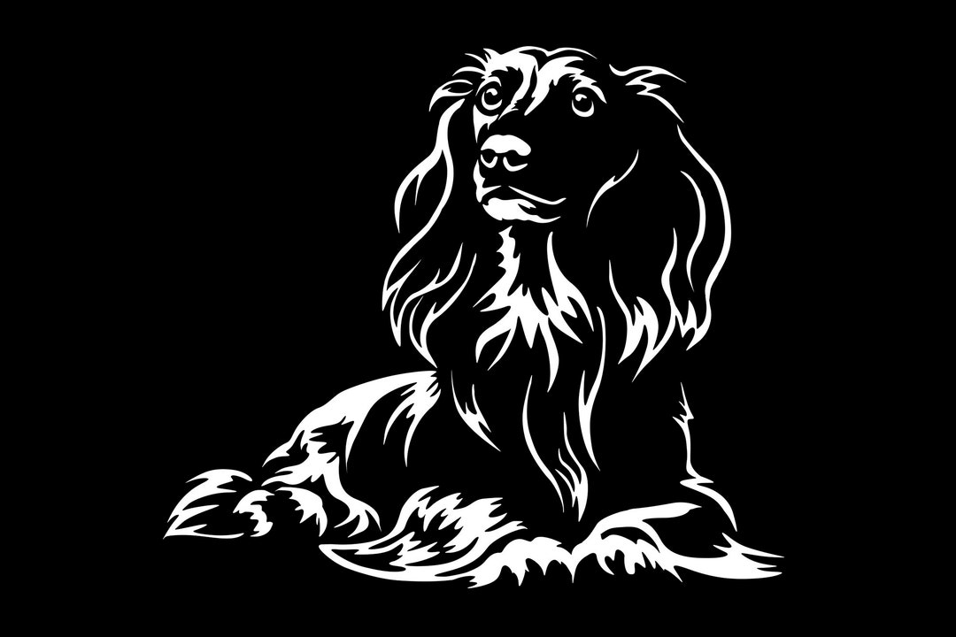 DACKEL Teckel Long-haired Dachshund Sticker Car Sticker Sticker Long ...