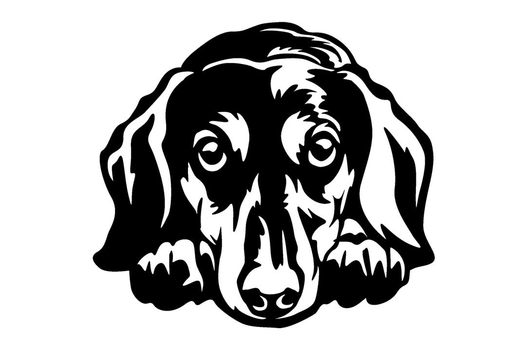 DACKEL Teckel Shorthaired Dachshund Sticker Car Sticker Sticker ...