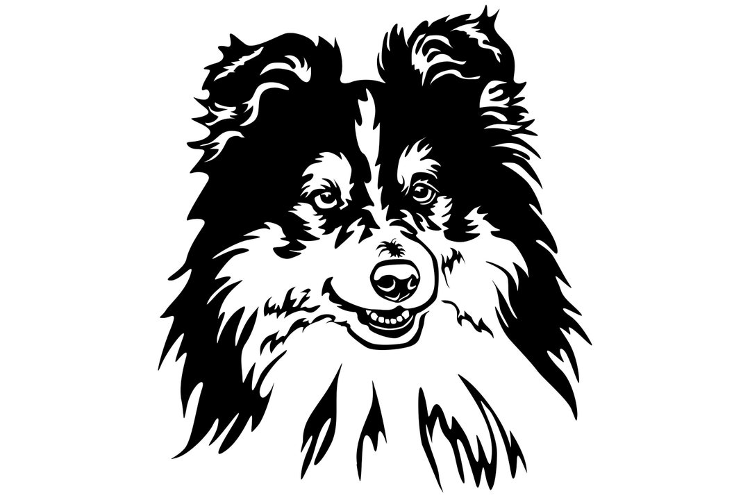 SHELTIE Shetland Sheepdog - Sticker - Car Sticker - Purebred Dog ...