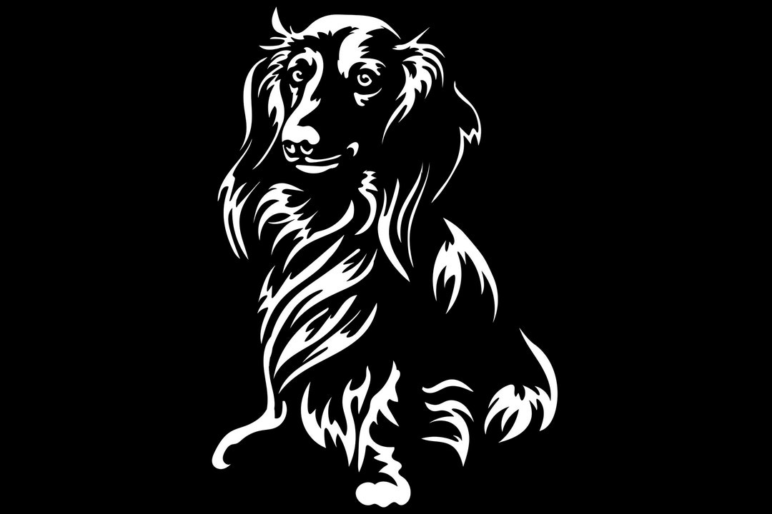 DACKEL Teckel Long-haired Dachshund Sticker Car Sticker Sticker Long ...