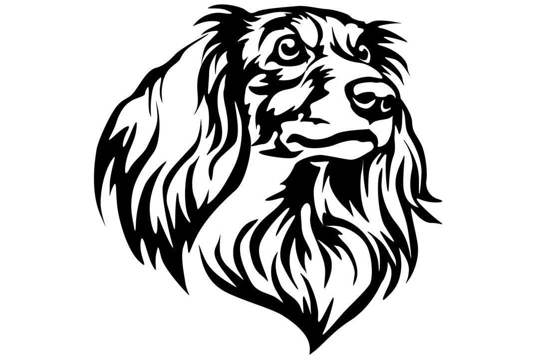 DACKEL Teckel Long-haired Dachshund Sticker Car Sticker Sticker Long ...