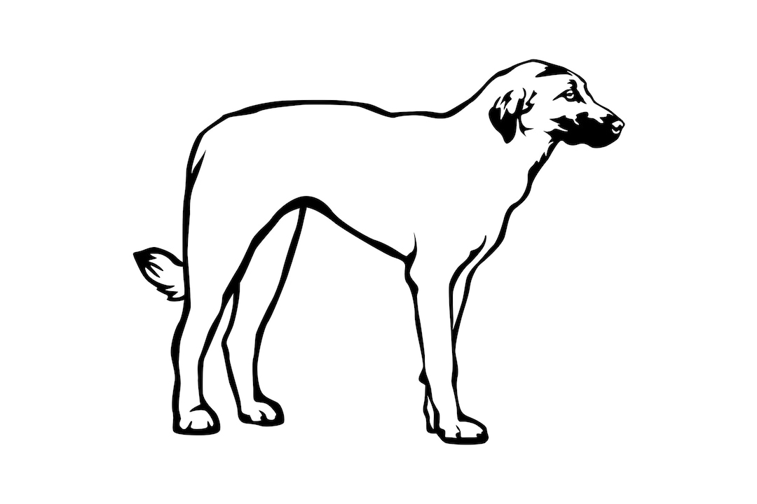 KANGAL Anatolian Shepherd Dog Karabash Sticker Car Sticker Sticker ...