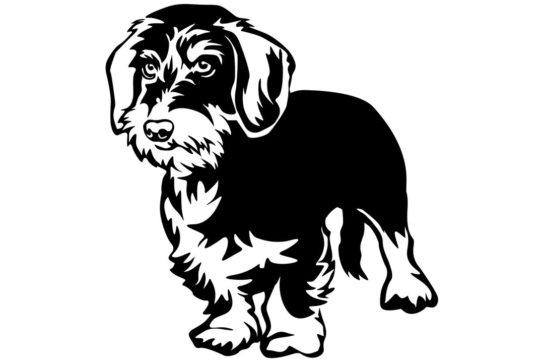 DACKEL Teckel Wire-haired Dachshund Sticker Car Sticker Sticker 4369 - Etsy