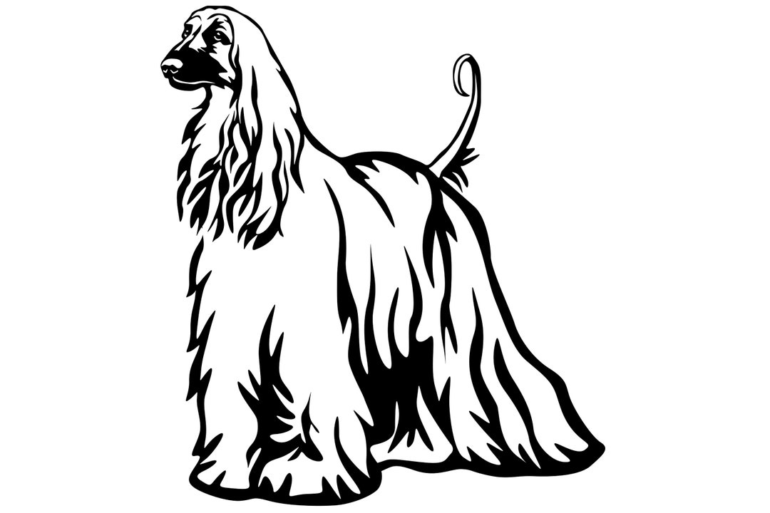 AFGHAN Afghan Hound - Sticker - Purebred Dog Sticker - Car Sticker ...