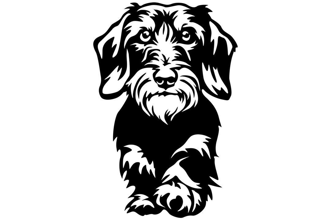 DACKEL Teckel Wire-haired Dachshund Sticker Car Sticker Sticker 4901 - Etsy