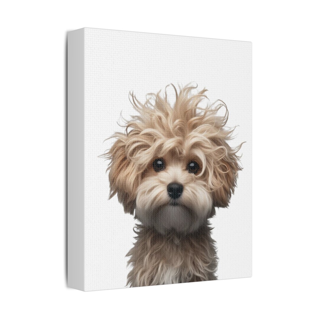 Funny Dog Picture, Maltipoo, Havapoo, Cavapoo, Cockapoo, Poodle Doodle ...