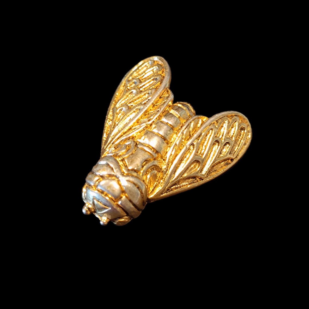 Vintage Provencal Cicada Brooch Signed René Gouin in White Gold Iron ...