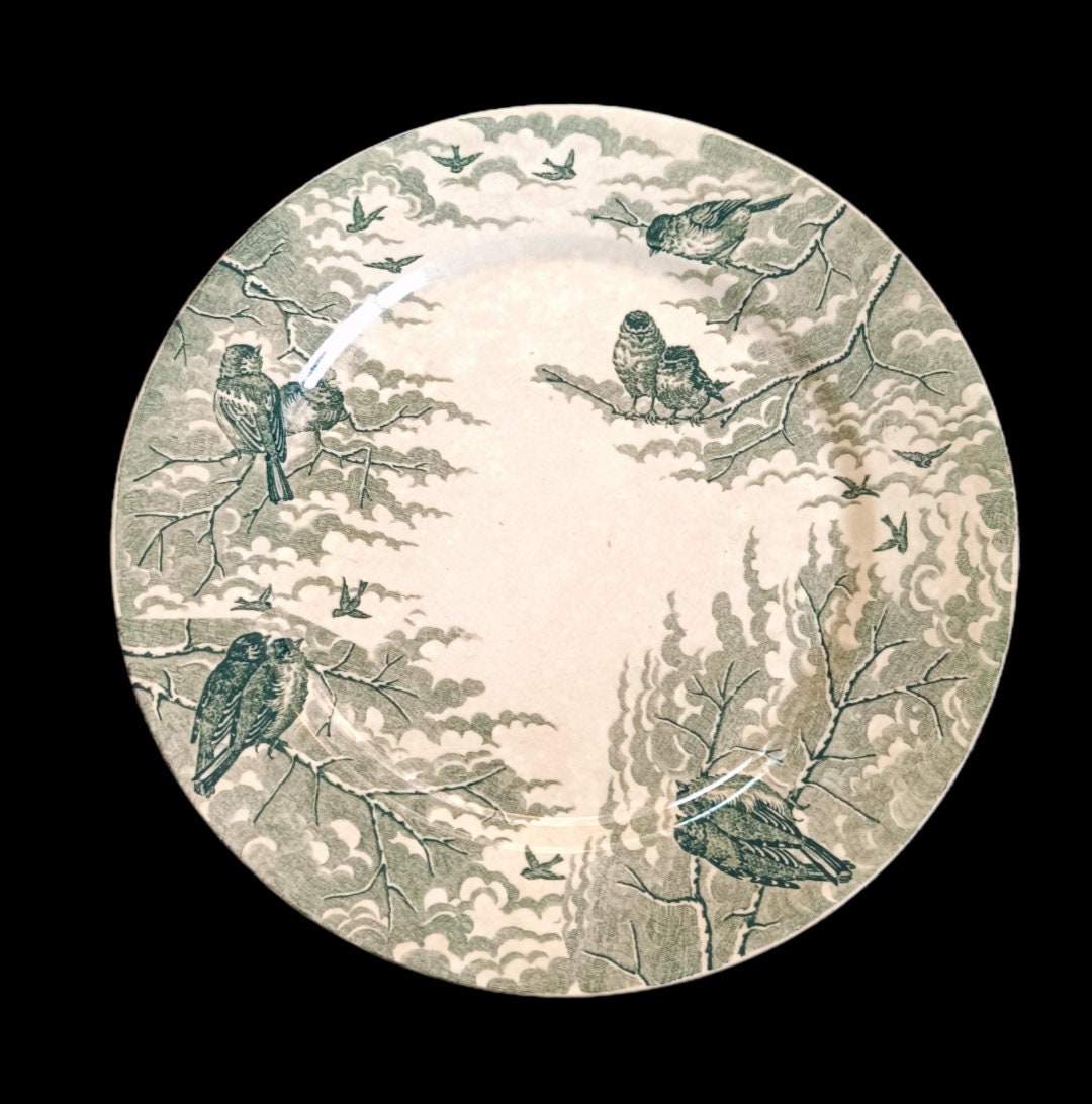 Rare Magnificent Collection Earthenware Plate Antique 19th - Etsy