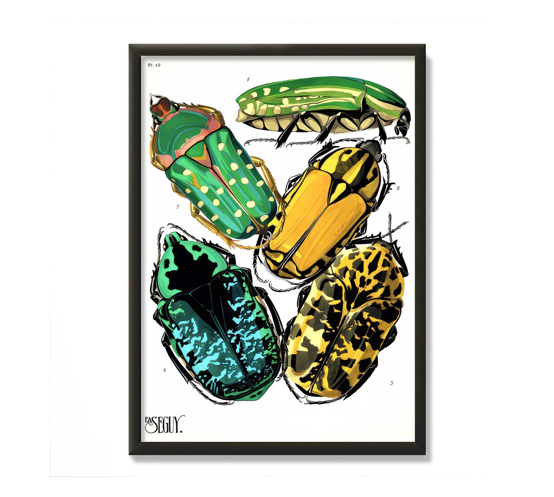 Vintage Diamond Beetle Print Insect Poster Home Decor Botanical Poster ...