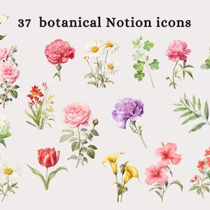 Notion Icons and Notion Covers for Notion Templates | Botanical Themed ...