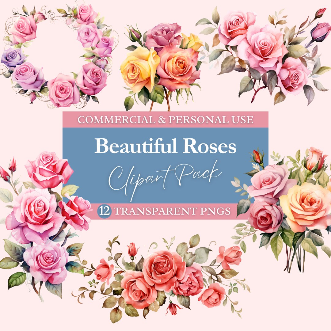 Beautiful Roses Clipart Bundle | Transparent PNG | Commercial Use Clip ...