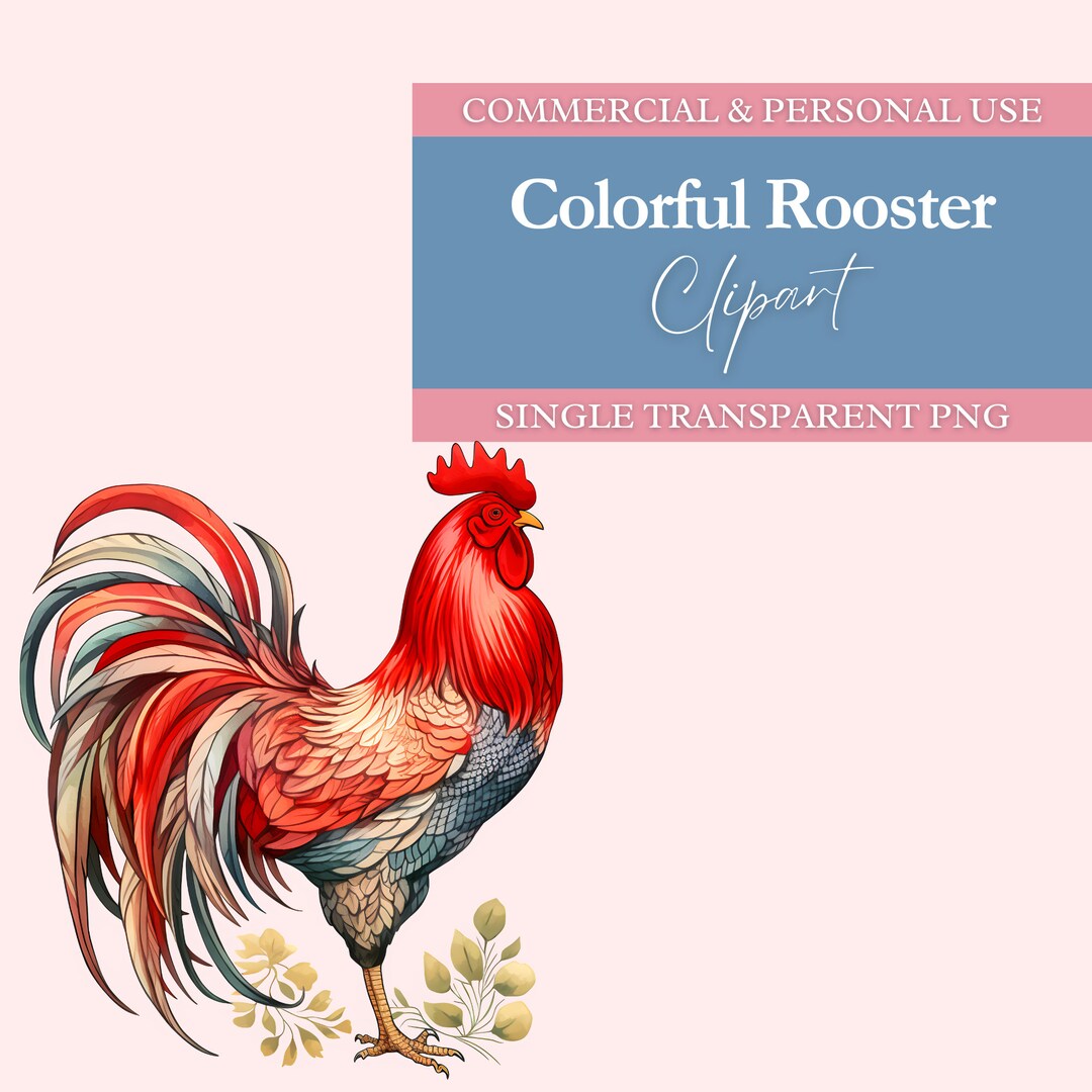 Colorful Rooster Clipart | Transparent PNG | Commercial Use Clip Art ...