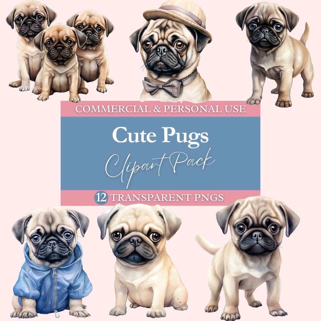 12 Cute Pug Dogs Clipart Bundle | Transparent PNG | Commercial Use Clip ...