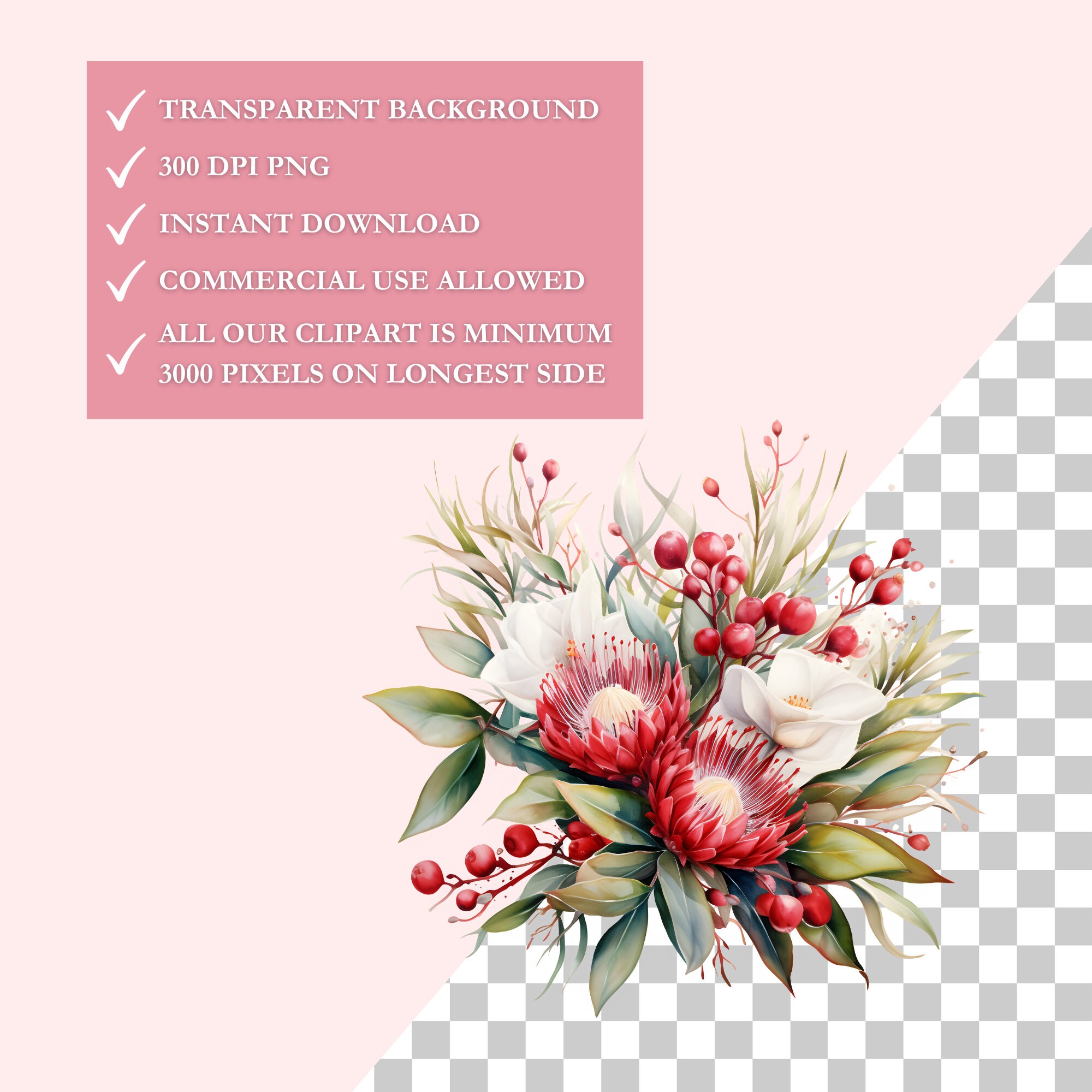 Australian Native Florals Clipart Bundle | Transparent PNG | Commercial ...