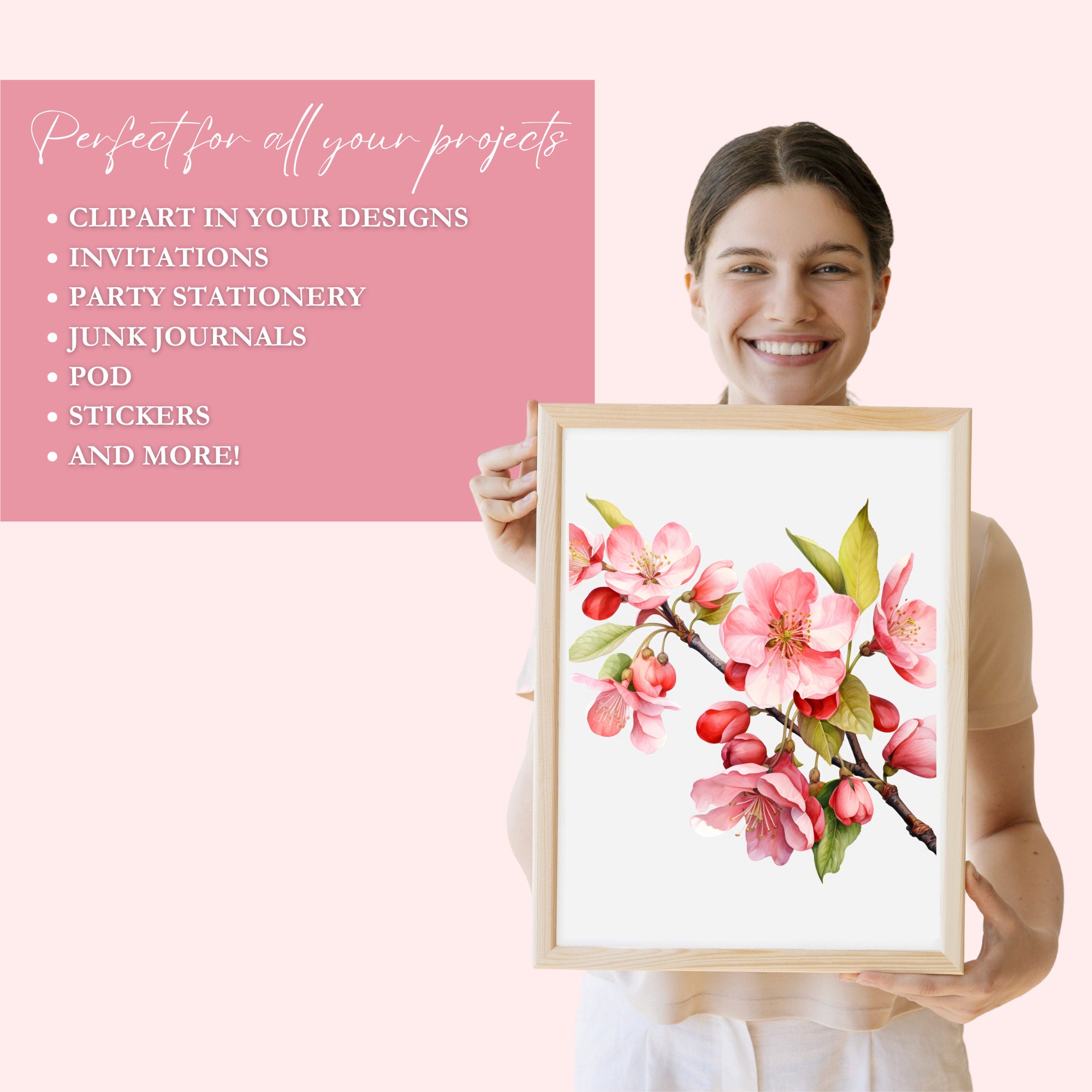 Apple Blossoms Clipart | Transparent PNG | Floral | Commercial Use Clip ...