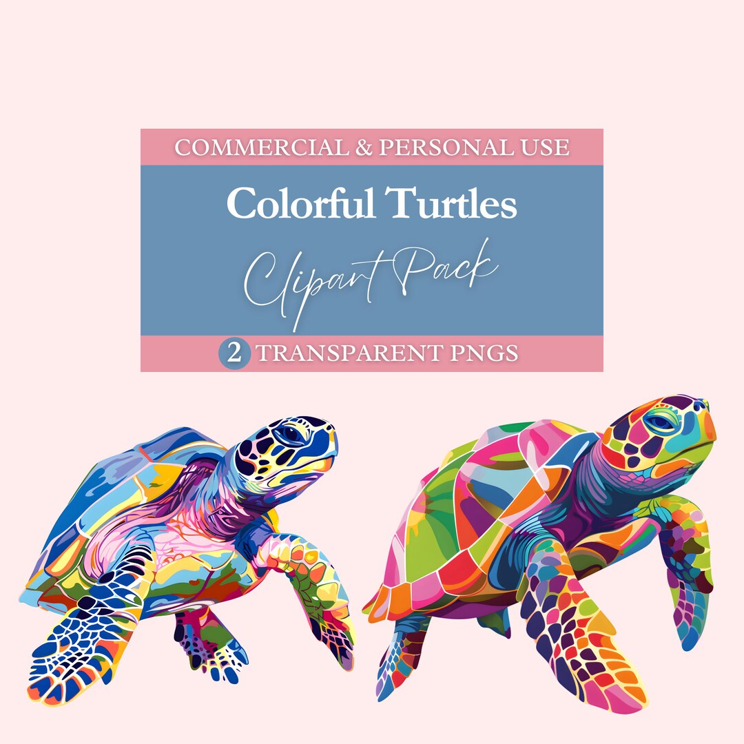 Colorful Turtles Clipart Bundle Transparent PNG Commercial Use Clip Art ...