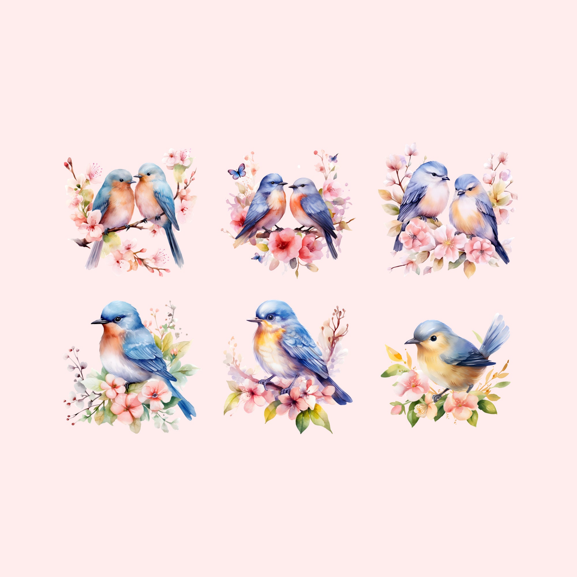Floral Birds Clipart Bundle Transparent PNG Commercial Use Clip Art ...