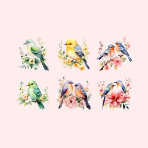 Floral Birds Clipart Bundle | Transparent PNG | Commercial Use Clip Art ...