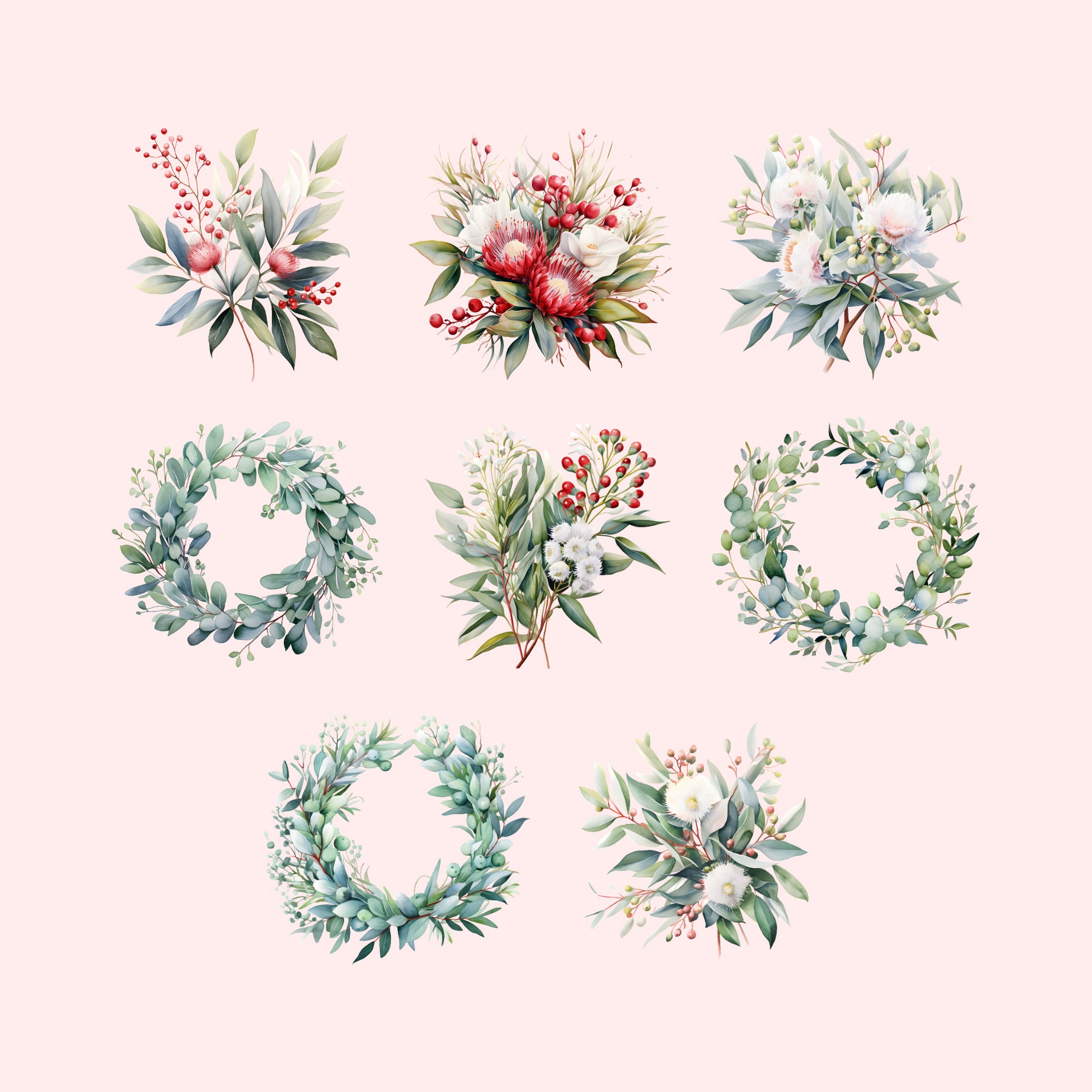 Australian Native Florals Clipart Bundle | Transparent PNG | Commercial ...