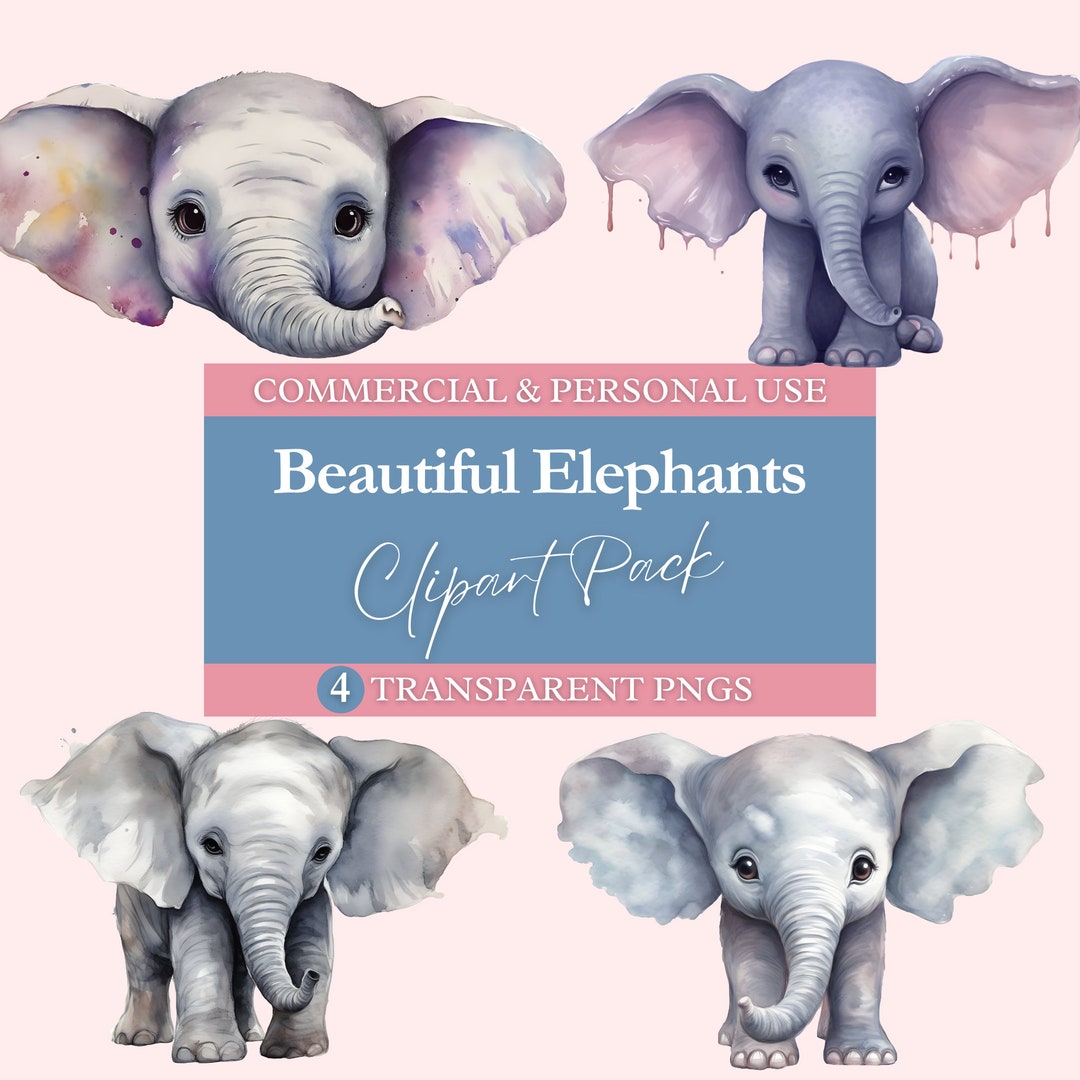 Beautiful Elephants Clipart Bundle Transparent PNG Commercial Use Clip ...