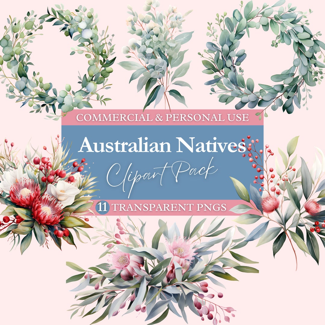 Australian Native Florals Clipart Bundle | Transparent PNG | Commercial ...