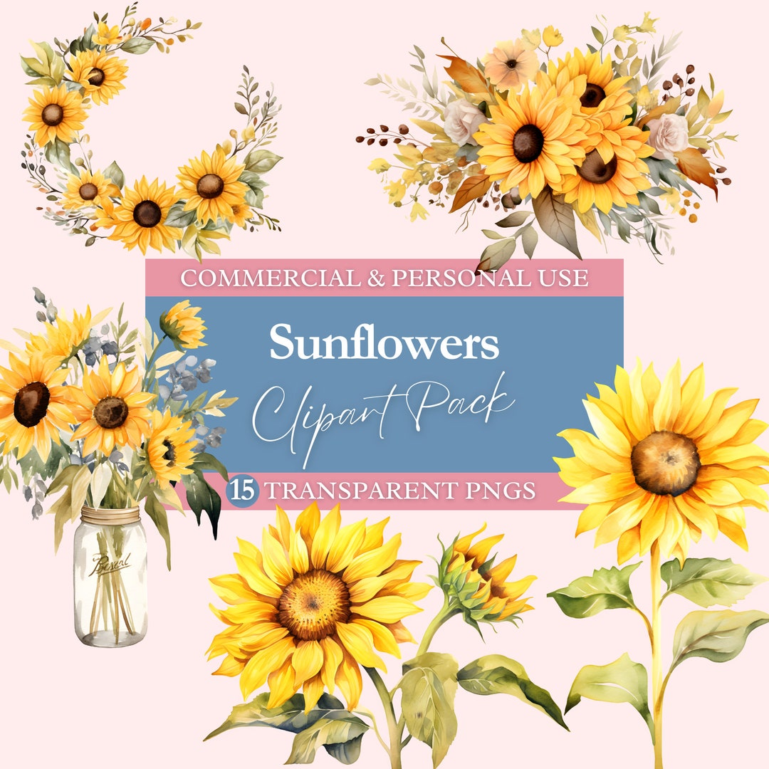 Sunflower Clipart Bundle | Transparent PNG | Commercial Use Clip Art ...