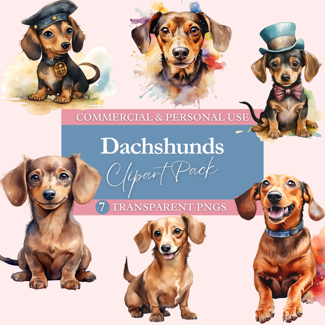 7 Dachshund Dog Clipart Bundle | Transparent PNG | Commercial Use Clip ...