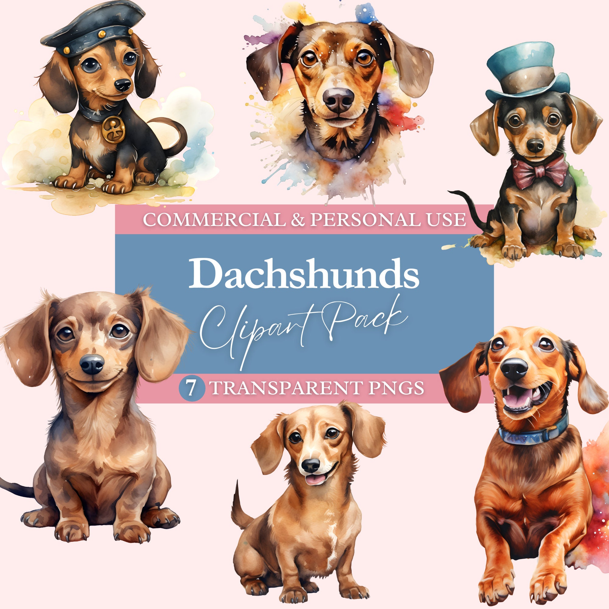 7 Dachshund Dog Clipart Bundle Transparent PNG Commercial Use Clip Art ...