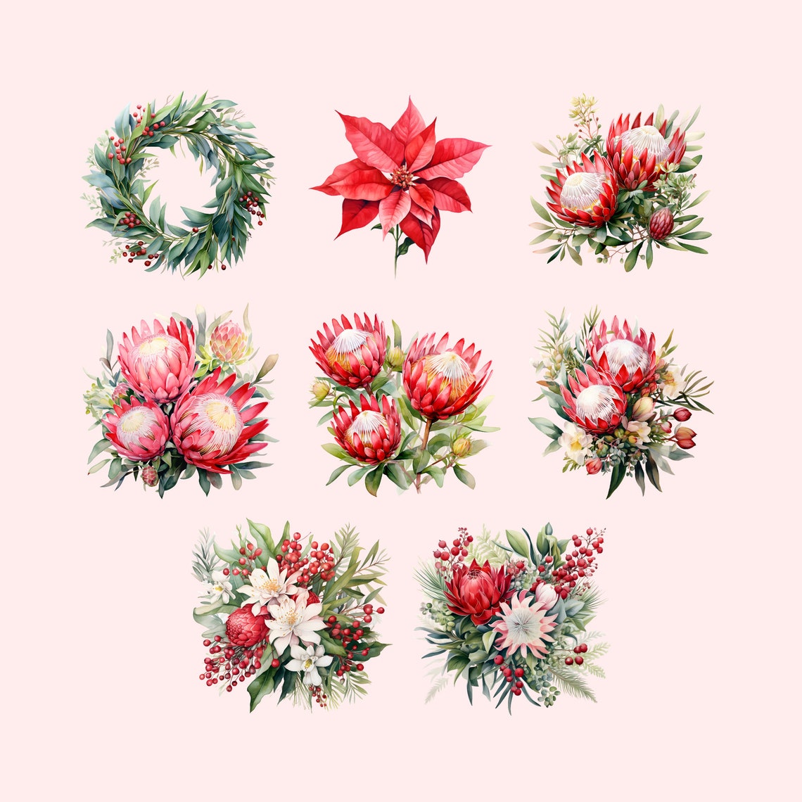 Australian Florals Clipart Bundle | Transparent PNG | Commercial Use ...