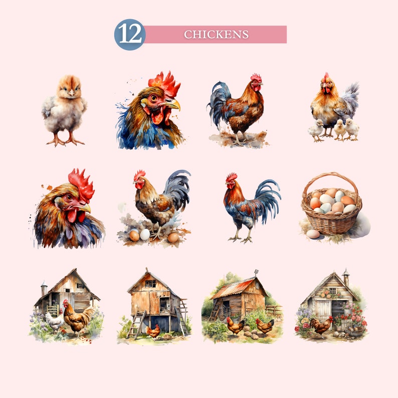 12 Chickens Clipart Bundle | Transparent PNG | Commercial Use Clip Art ...