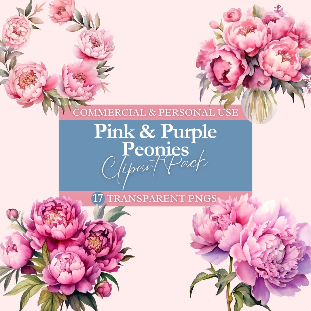 Pink & Purple Peonies Clipart Bundle | Transparent PNG | Commercial Use ...