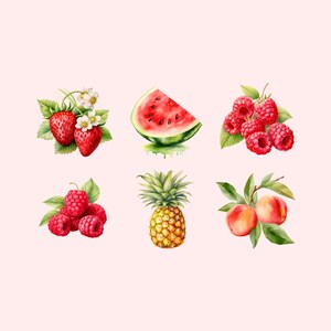 Summer Fruits Clipart Bundle | Transparent PNG | Commercial Use Clip ...