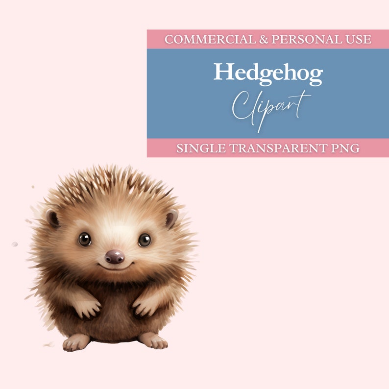 Hedgehog Clipart Transparent PNG Commercial Use Clip Art Watercolor ...