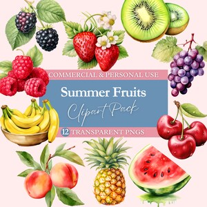 Summer Fruits Clipart Bundle | Transparent PNG | Commercial Use Clip ...