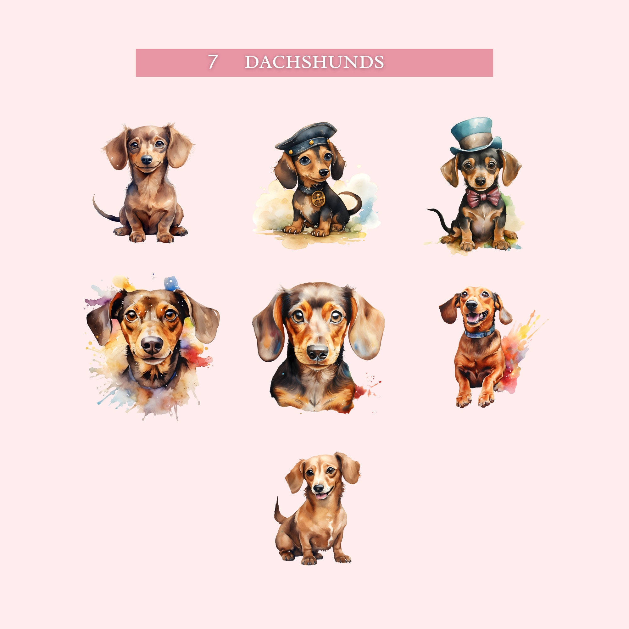 7 Dachshund Dog Clipart Bundle Transparent PNG Commercial Use Clip Art ...
