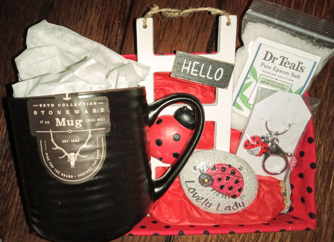 Ladybug Gift Basket - Etsy