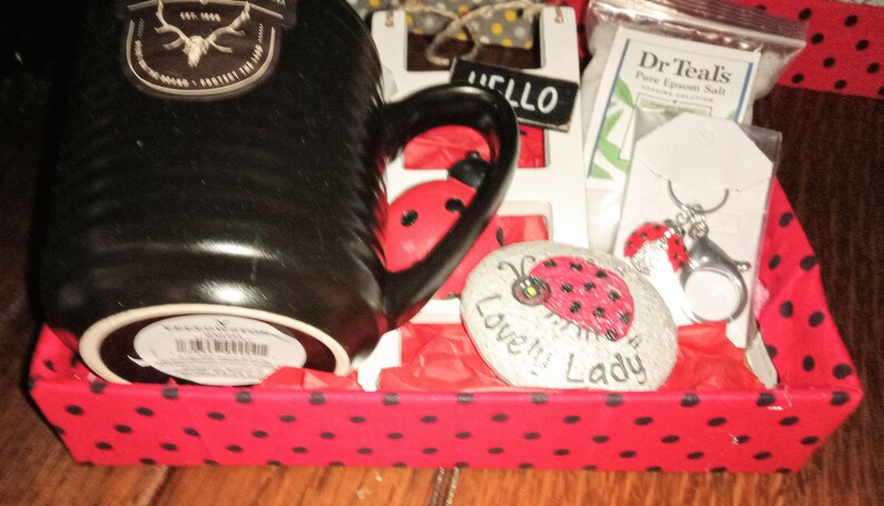 Ladybug Gift Basket - Etsy