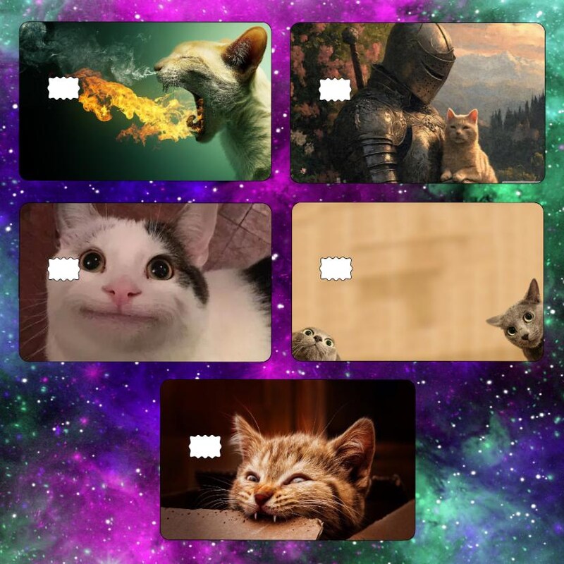 Credit Card Cat Sticker - Etsy