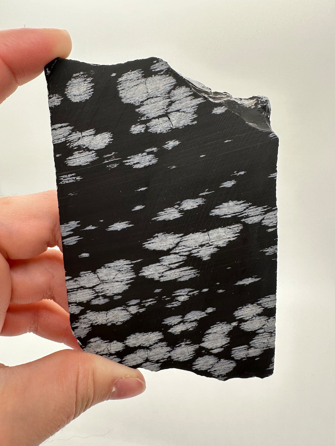 Snowflake Obsidian Slab, Rocks and Minerals, Black and White Snowflake ...